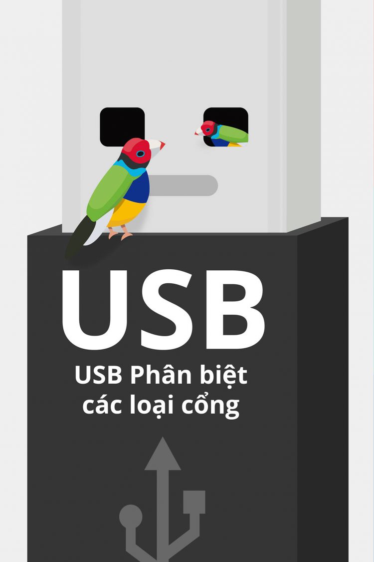 Cách dễ dàng để phân biệt các loại cổng USB – Ben Computer