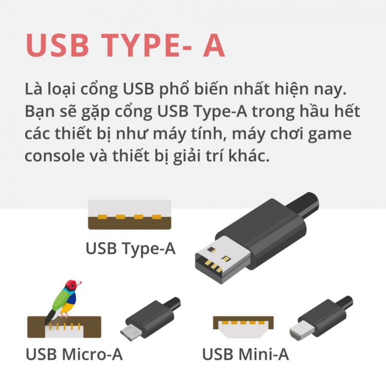 Cách dễ dàng để phân biệt các loại cổng USB – Ben Computer